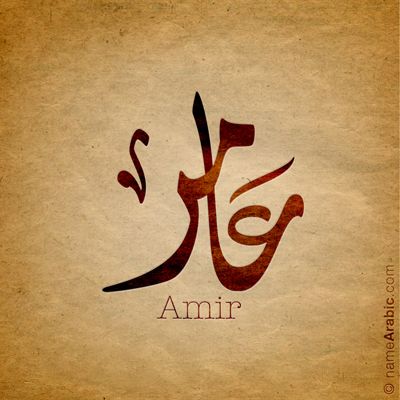 OBEYING THE ‘AMIR – ‘IMARA IN ISLAM – CAN WE CHANGE AMIRS AS WE WISH ...