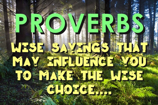 ARAB WISE SAYINGS – ISLAMIC PROVERBS – AND THE MIRACLE OF THE QUR’AN ...